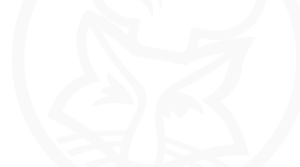 Our Restaurants - Foxs Pizza Franchise